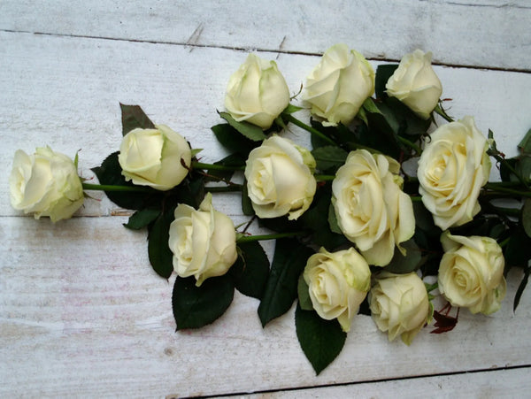 The Best Long Stemmed White Roses | Same Day Delivery – The Flower Yard